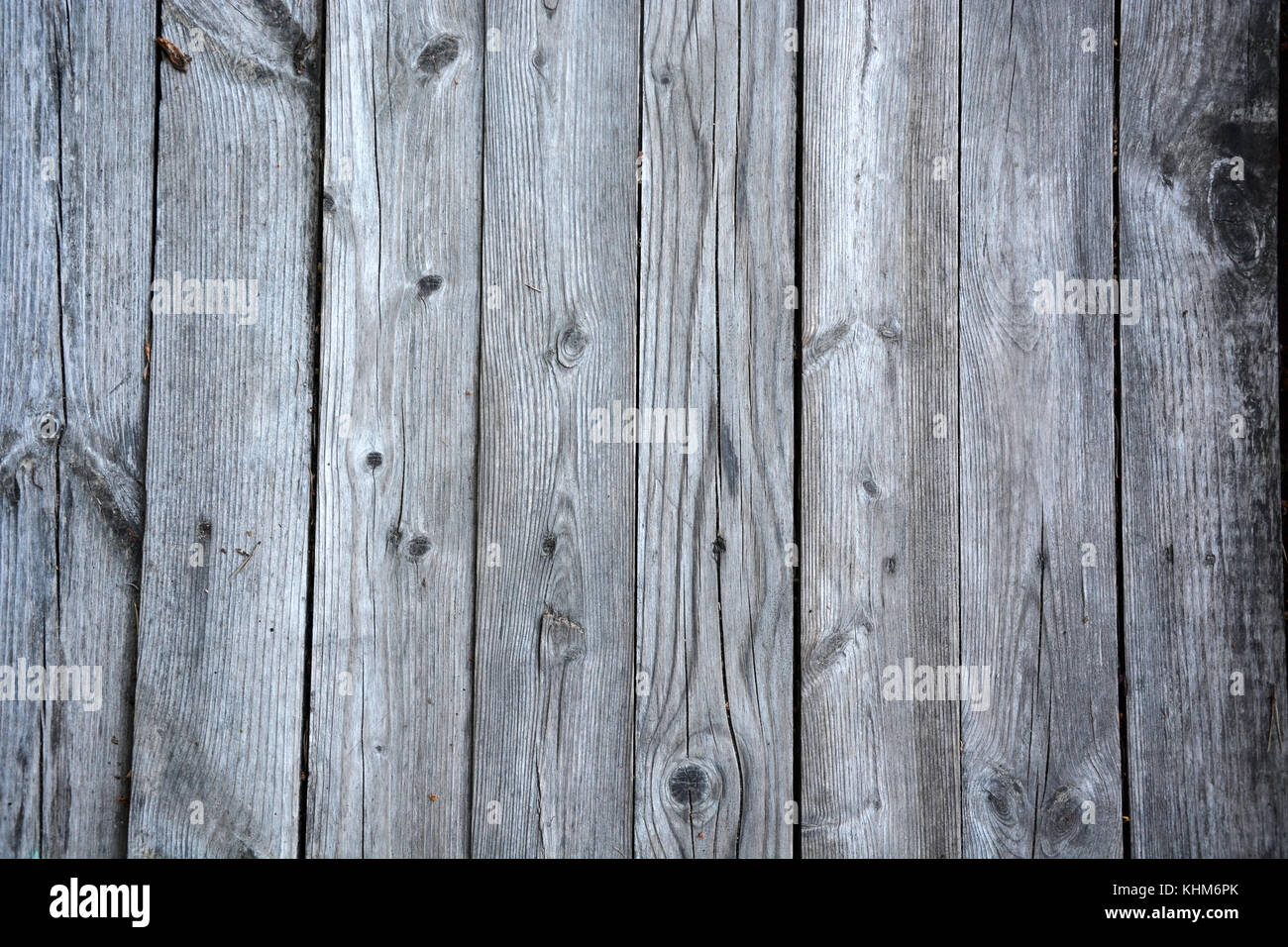 Grey wood. Picture can be used as a background Stock Photo - Alamy