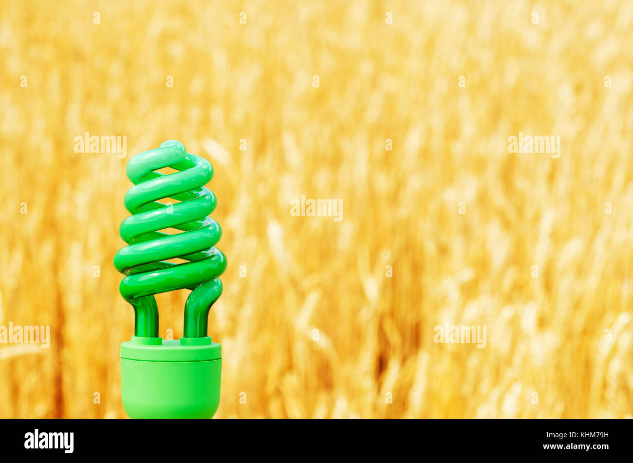 green eco bulb over golden field Stock Photo - Alamy