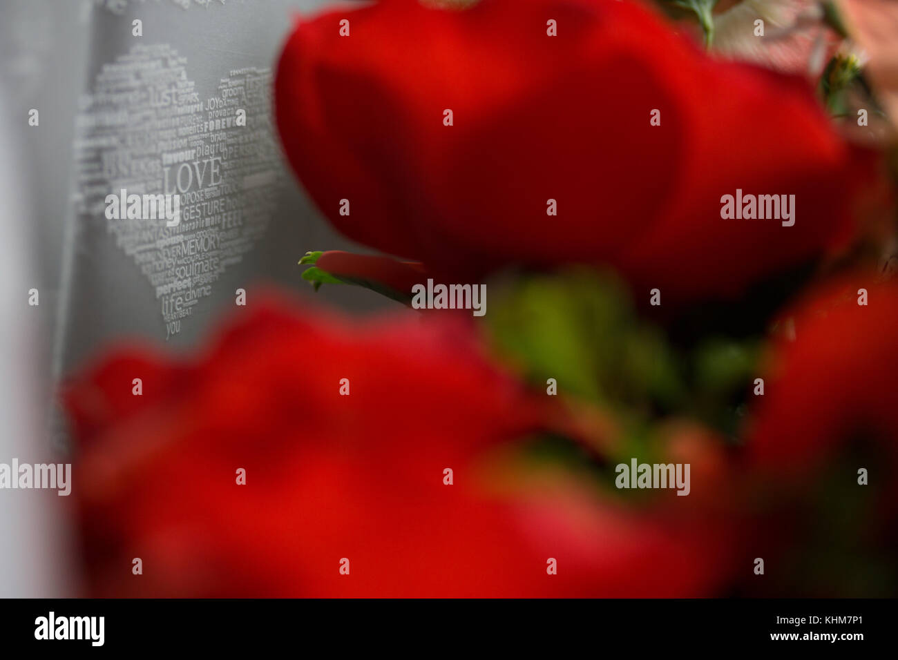 Red Roses signifying love in relationships especially on Valentines Day ...