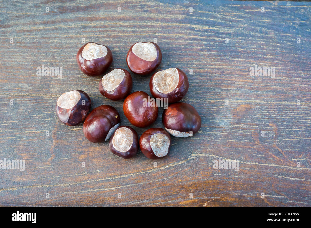 Chestnut wood hi-res stock photography and images - Alamy