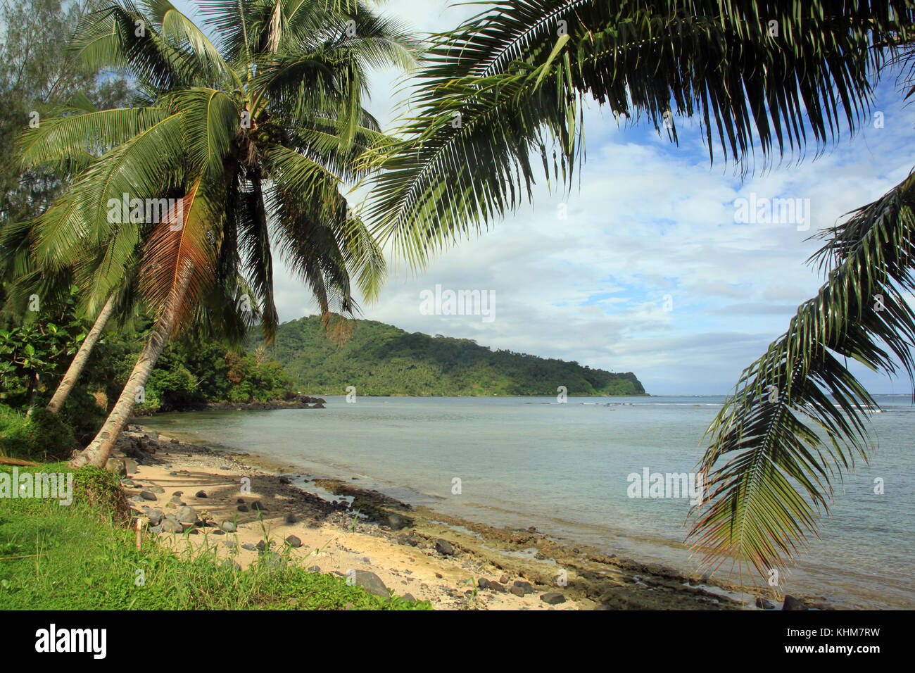 Palm trees on the coast of Upolu island in Samoa Stock Photo - Alamy