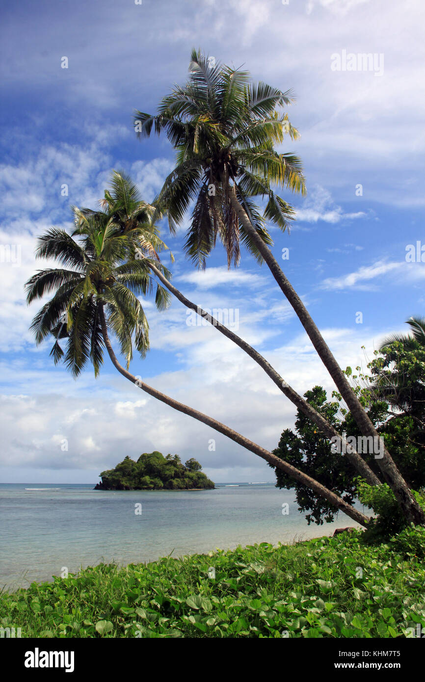 Green grass, palm trees and small island in the ocean near Upolu, Samoa ...