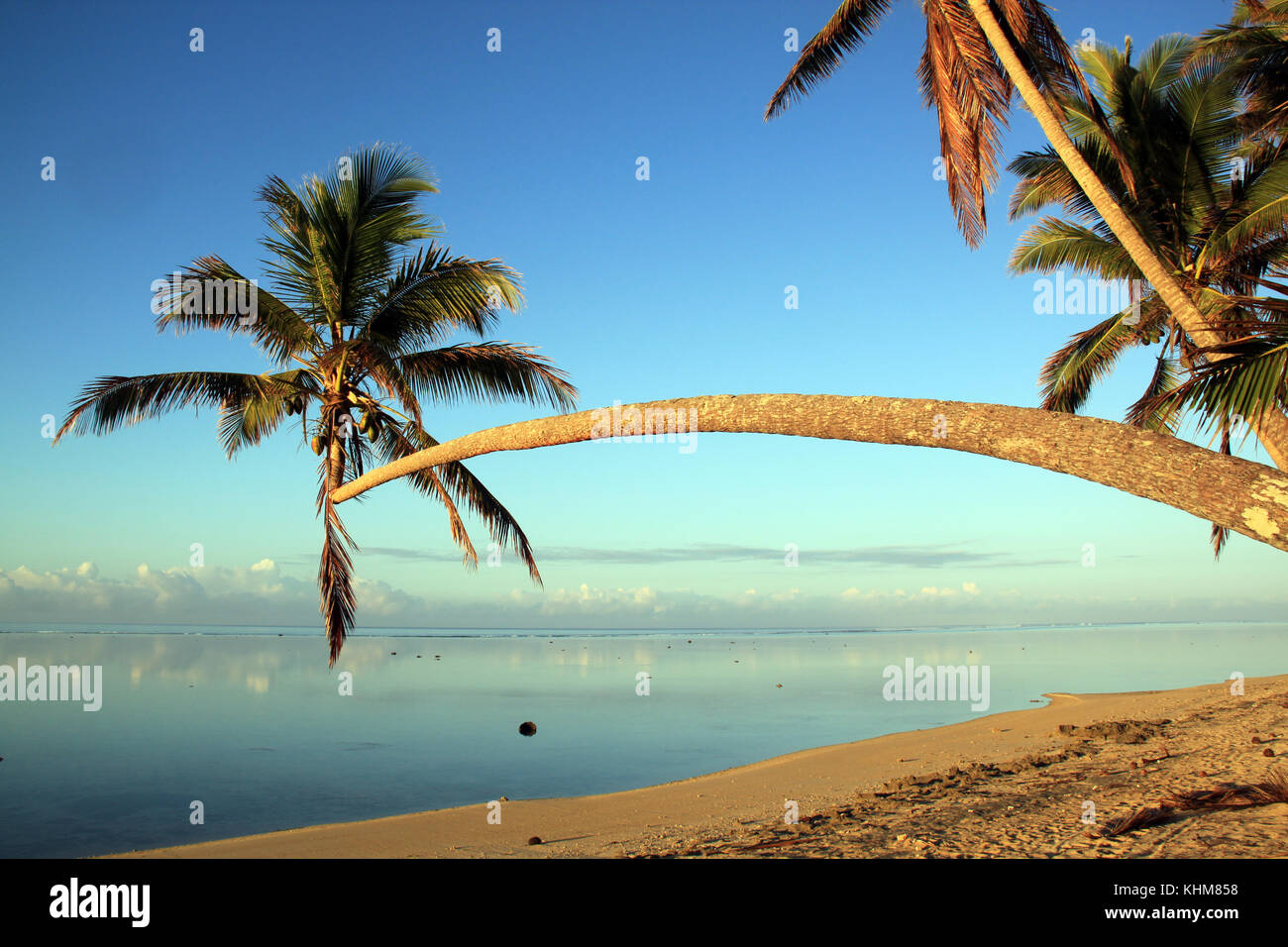 Morning on the beach with palm trees, Fiji Stock Photo - Alamy