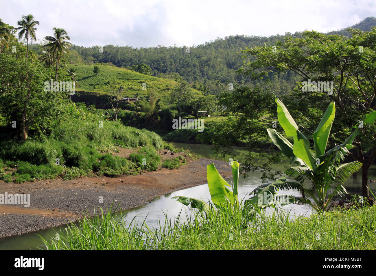 Green area and river in the rural Fiji Stock Photo - Alamy