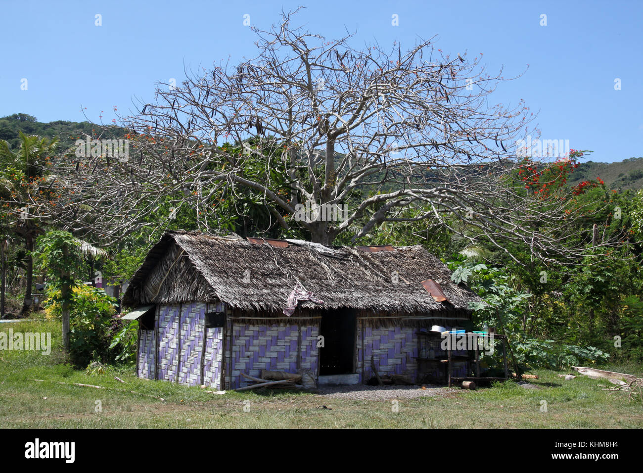 Hut under the tree in Efate island, Vanuatu Stock Photo - Alamy