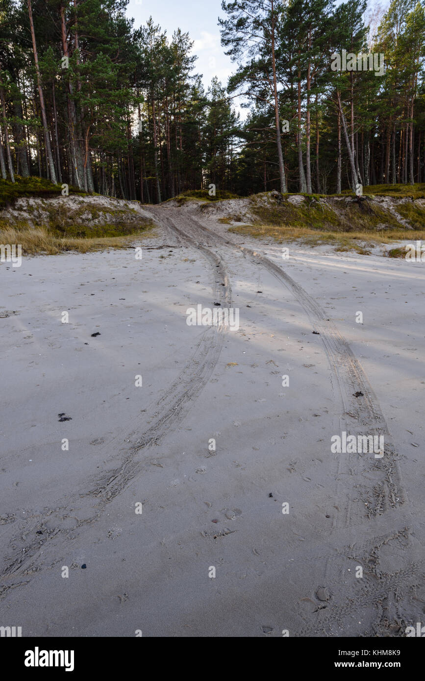 car tyre tracks on the beach sand in perspective Stock Photo - Alamy