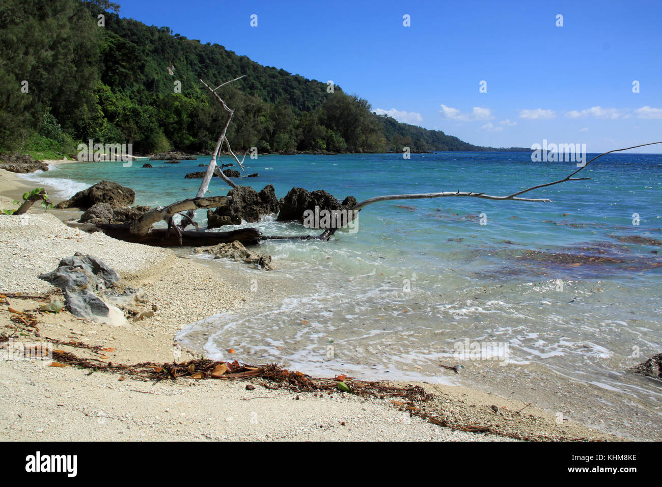 On the beach of tropical island Efate, Vanuatu Stock Photo - Alamy