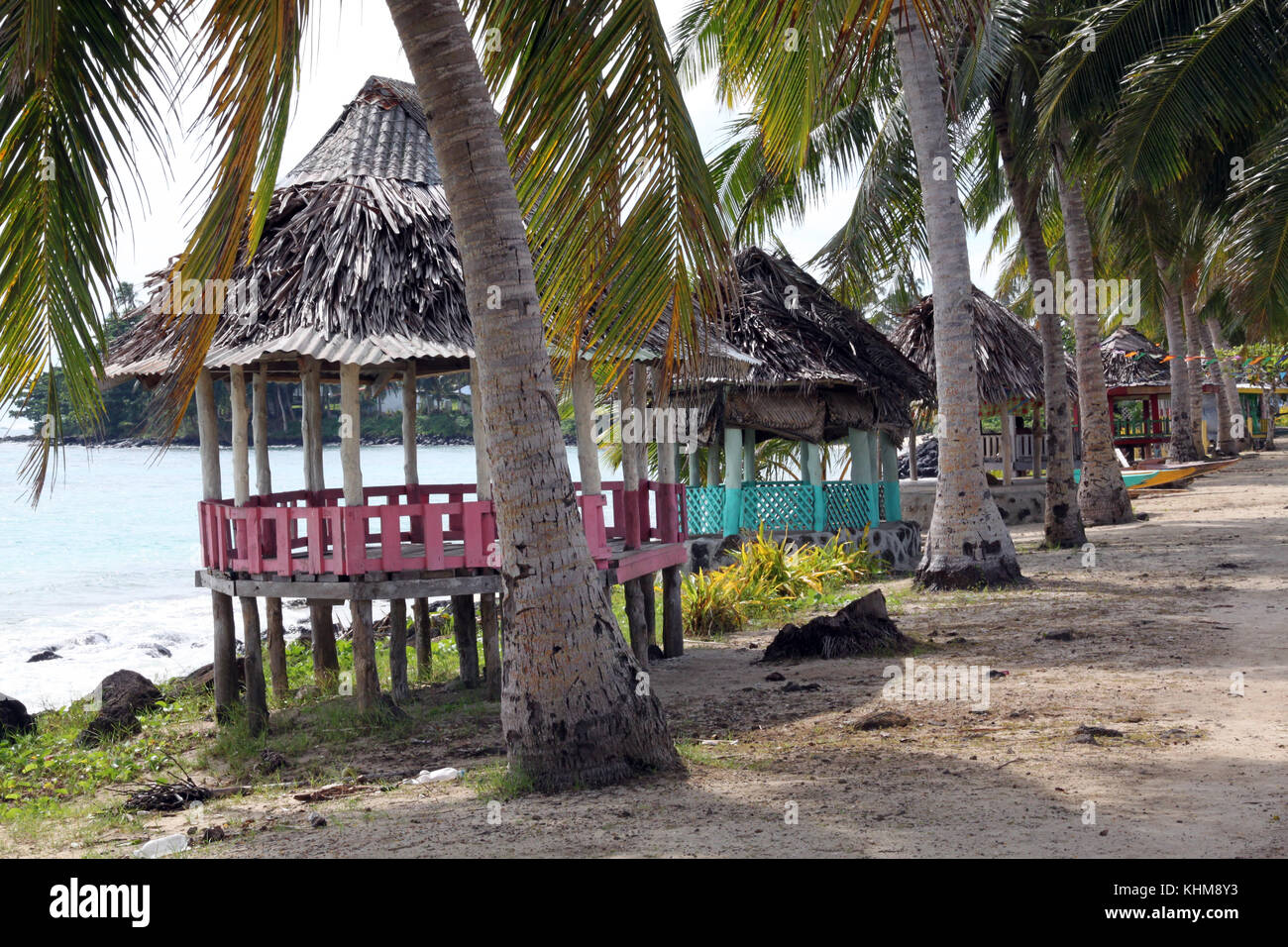 Huts under palm trees on Savaii island in Samoa Stock Photo - Alamy