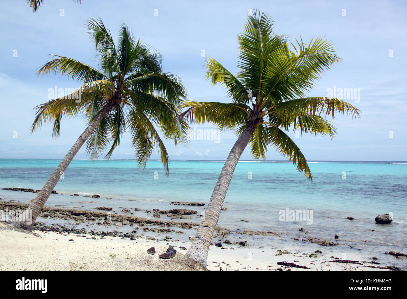 Palm trees and white sand on the beach in Savaii island, Samoa Stock ...