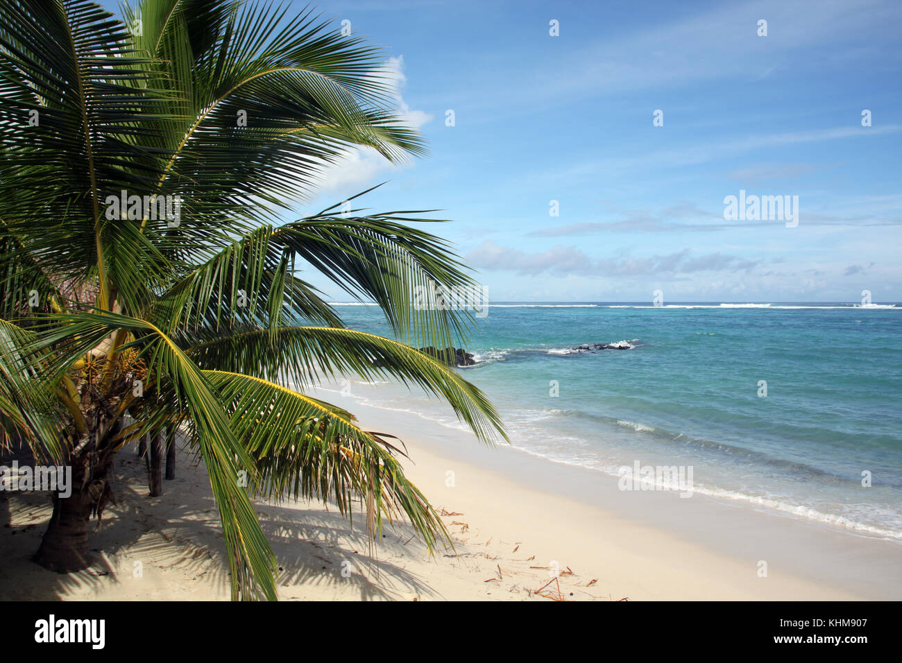 Palm tree on the white sand beach and sea in Samoa Stock Photo - Alamy