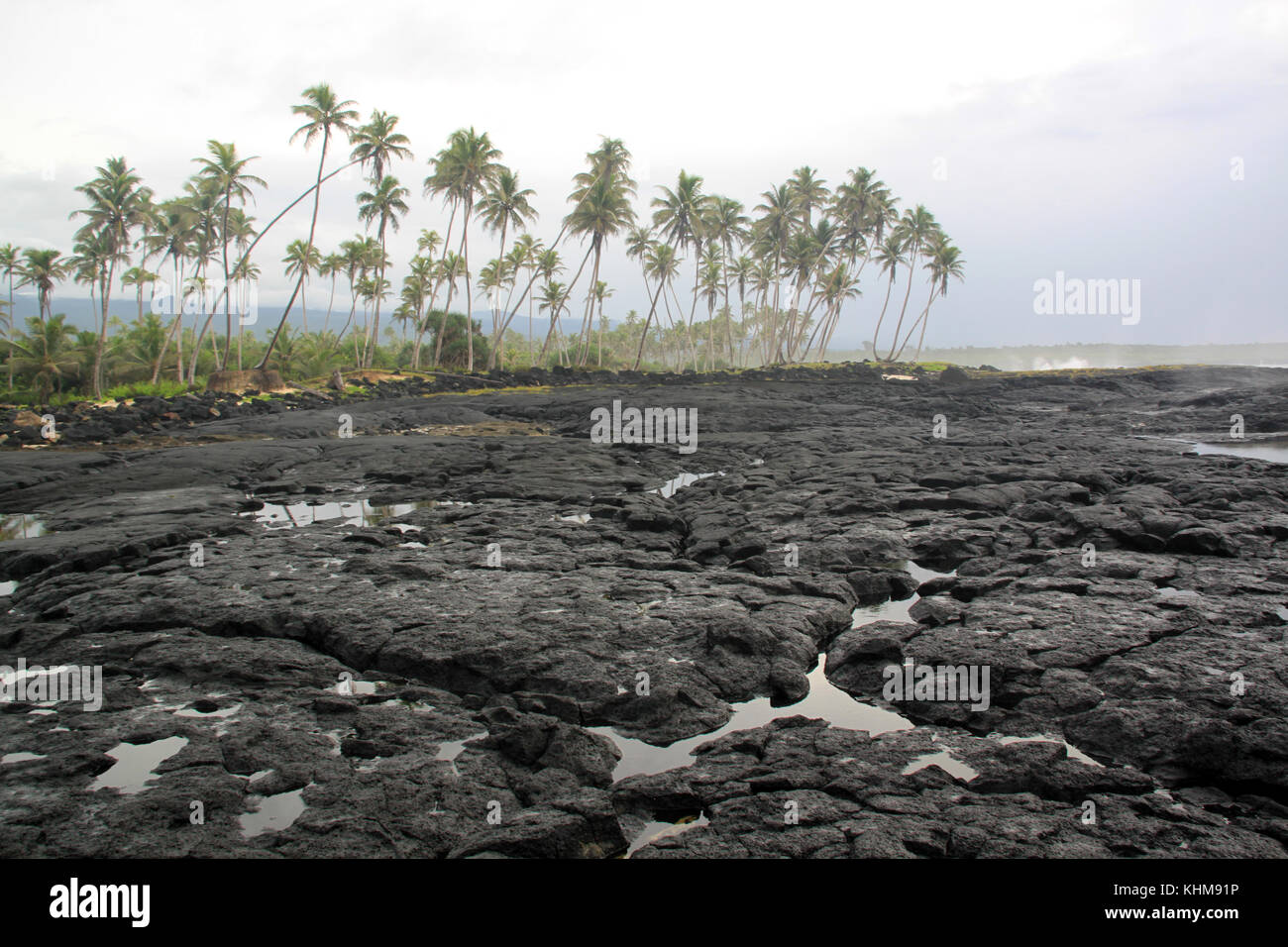 Black lava field on savaii island, Samoa Stock Photo - Alamy