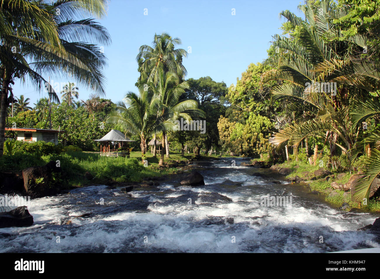 River and palm trees in Upolu island, Samoa Stock Photo - Alamy