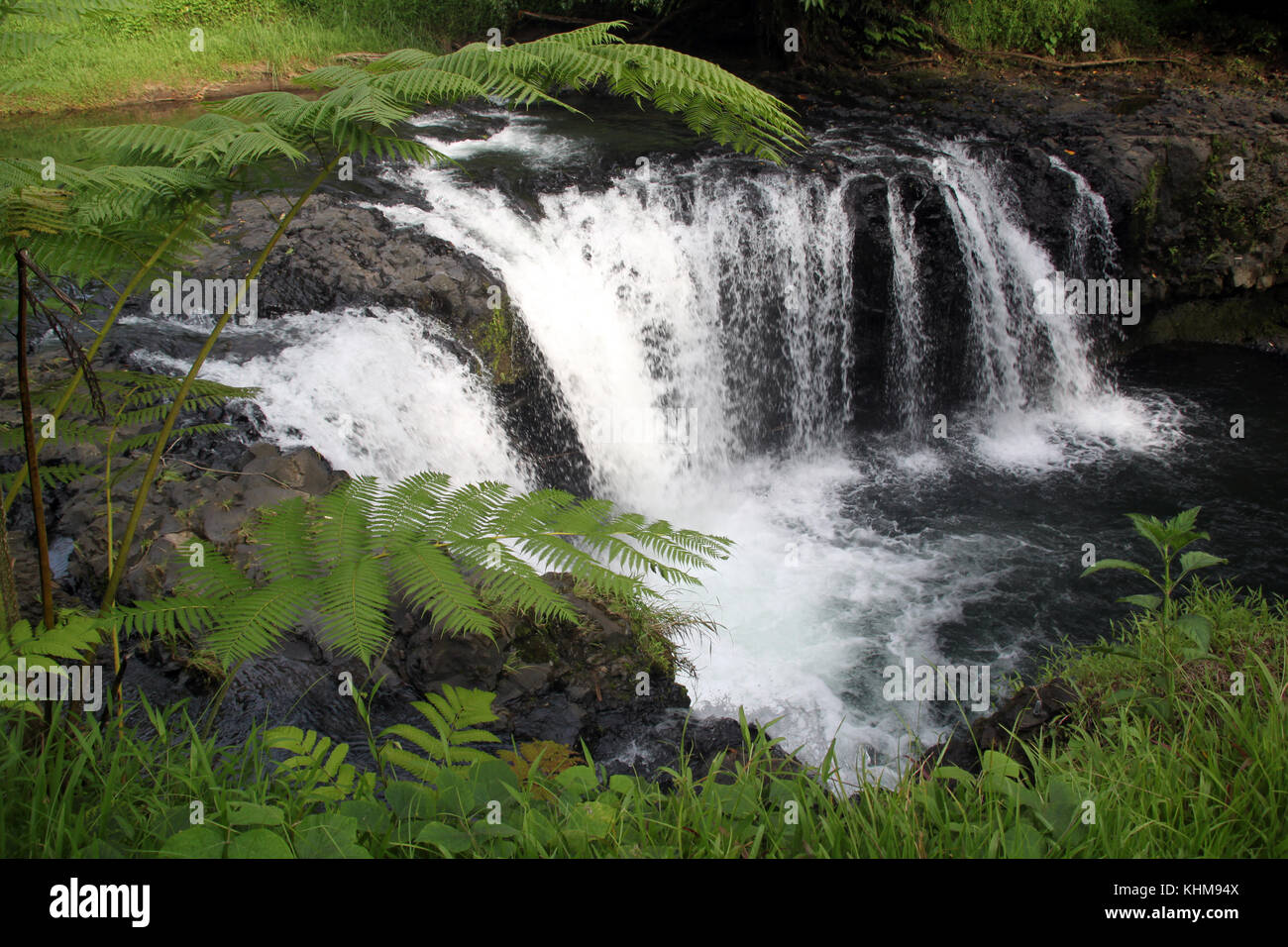 Green grass, river and waterfall in Upolu island, Samoa Stock Photo - Alamy