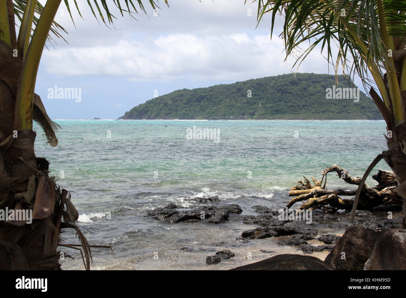 Palm trees, coast and small island in Upolu, Samoa Stock Photo - Alamy