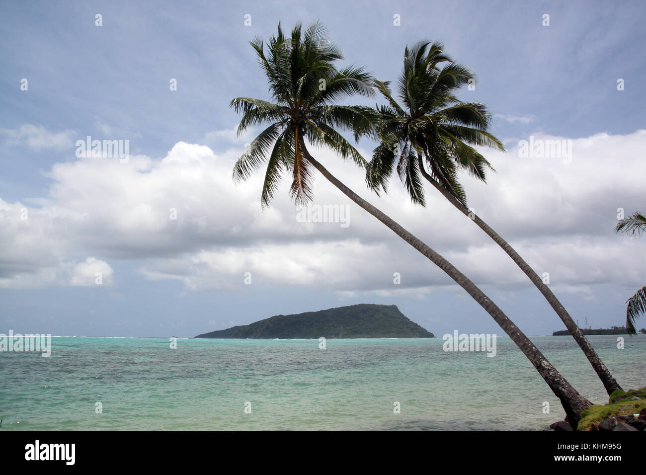 Palm trees on the beach and island in Upolu, Samoa Stock Photo - Alamy