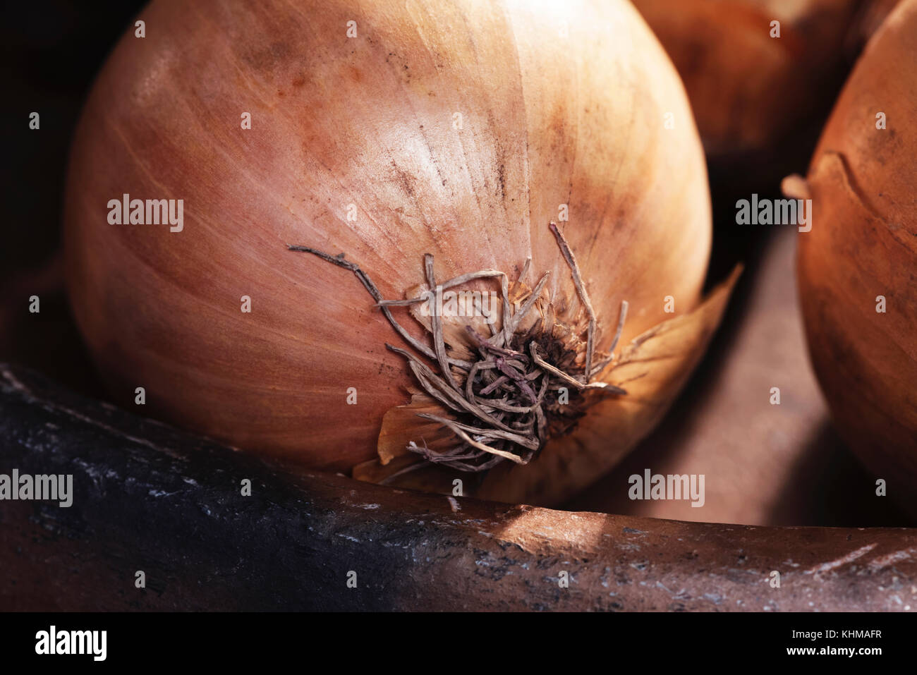 One Bulb Onion Raw Vegetable Stock Photo - Alamy