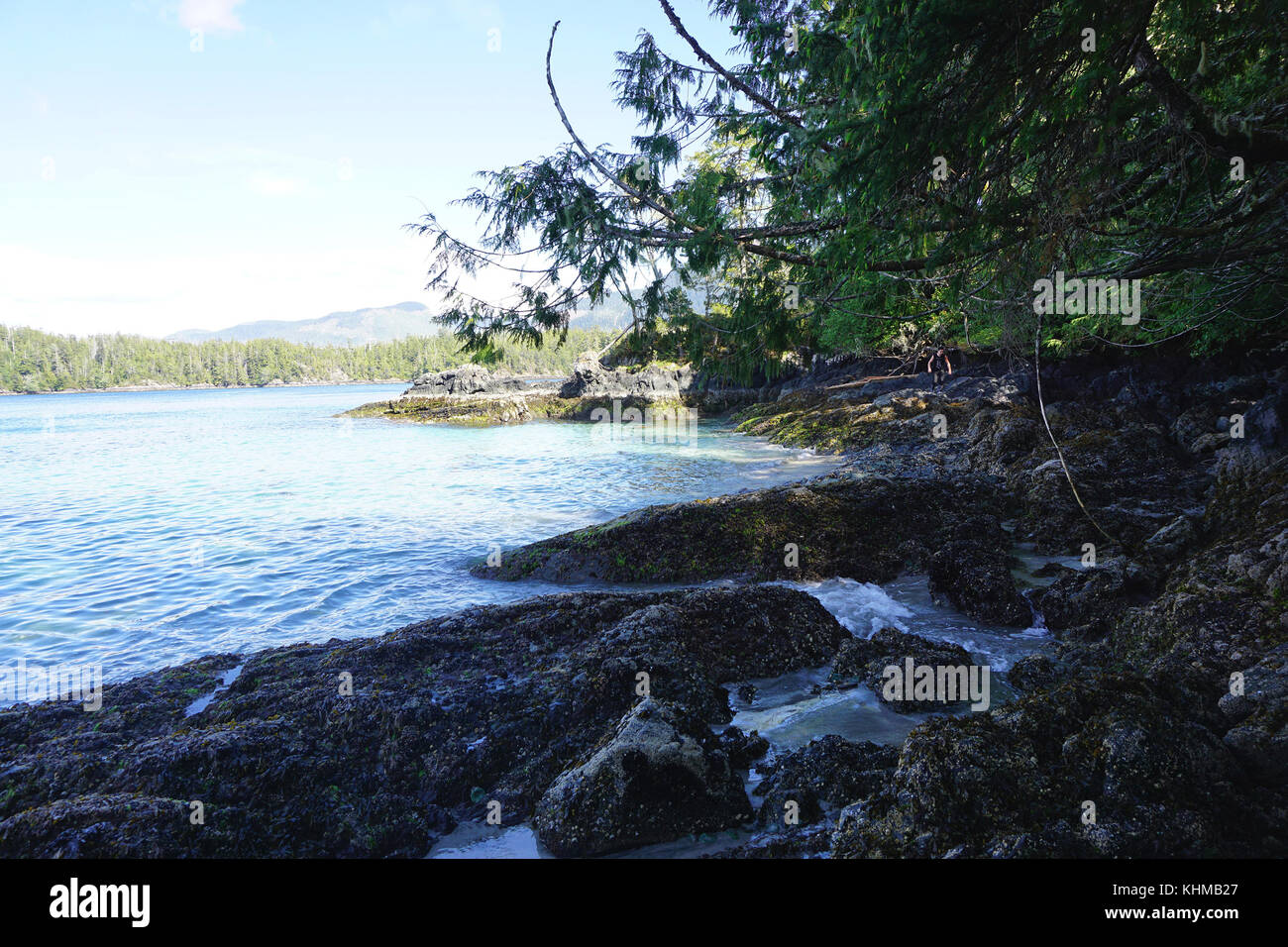 Beaches - West Coast, BC Stock Photo - Alamy