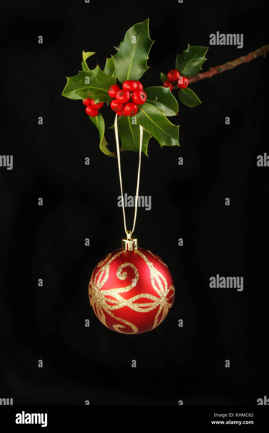 Hanging Leaf Bough High Resolution Stock Photography and Images - Alamy