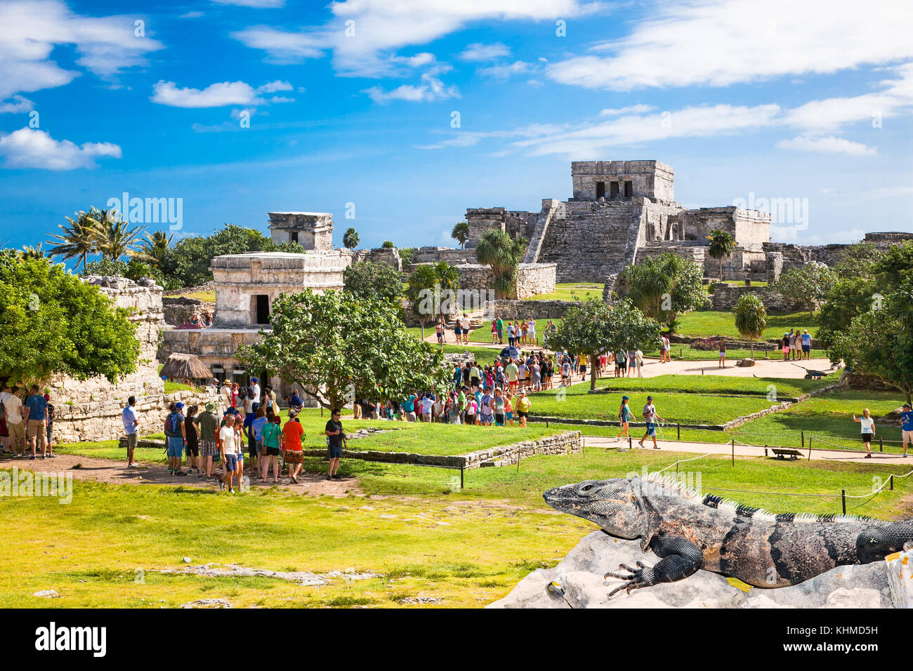 Tulim hi-res stock photography and images - Alamy