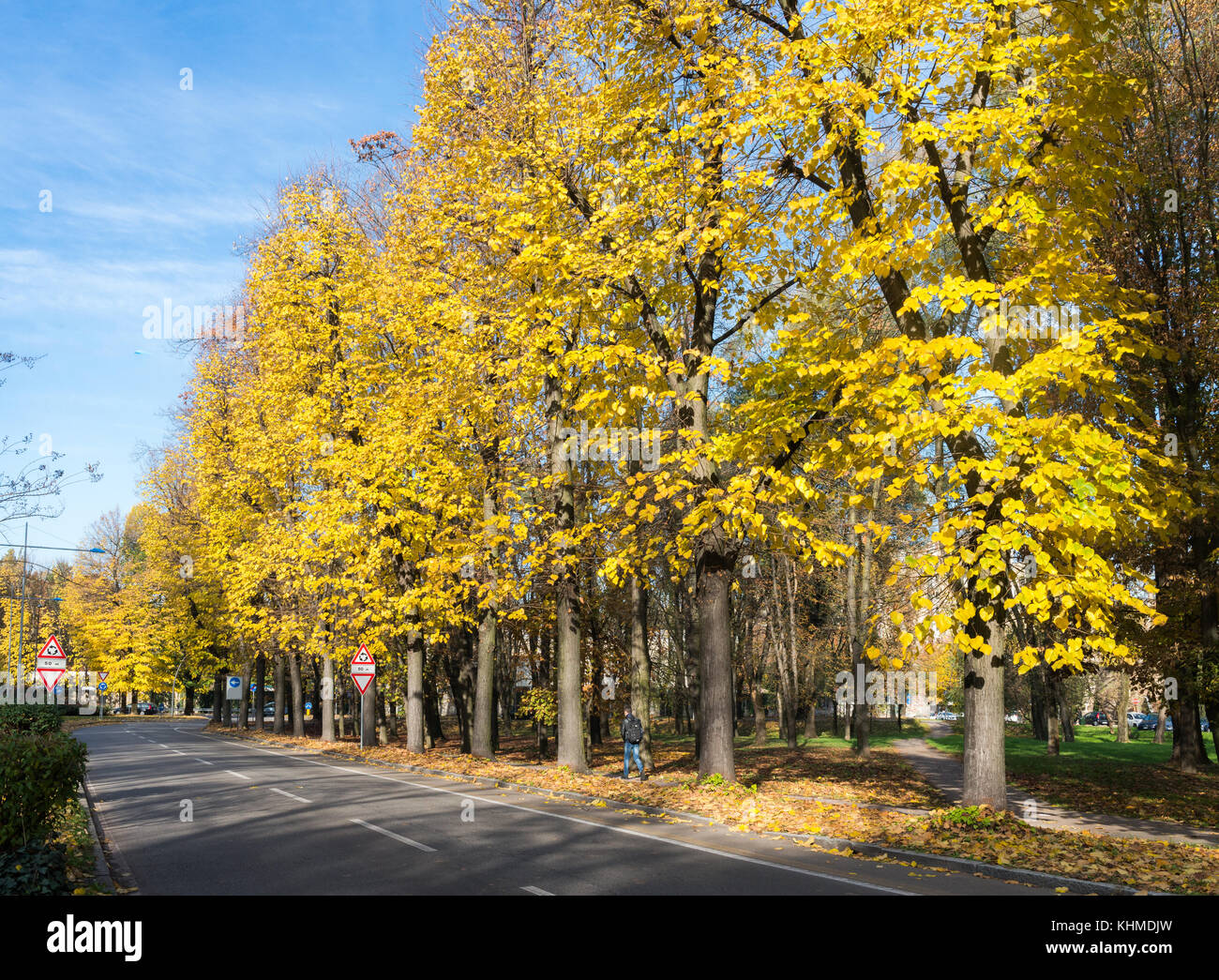 Autumn colours in Northern Italy Stock Photo - Alamy