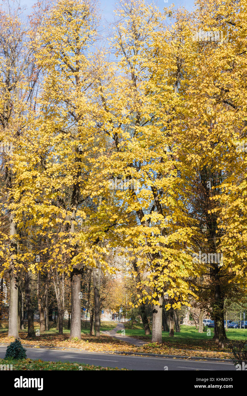 Autumn colours in Northern Italy Stock Photo - Alamy