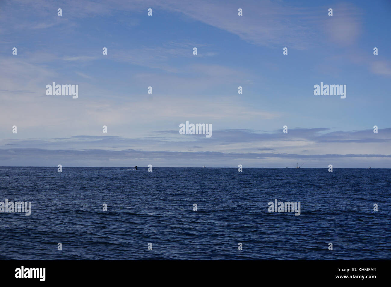 Pacific Ocean Views - West Coast, BC Stock Photo - Alamy