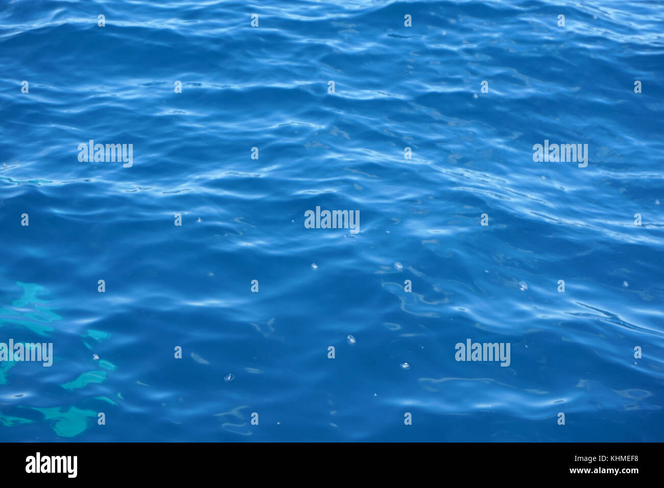 Close up views tropical hi-res stock photography and images - Alamy