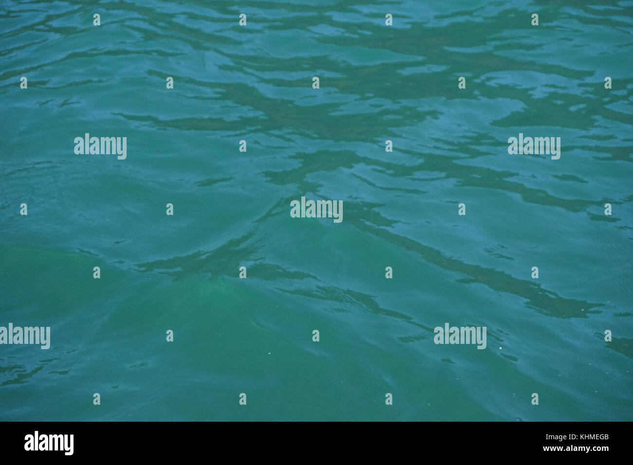 Ocean Up Close - West Coast, BC Stock Photo - Alamy