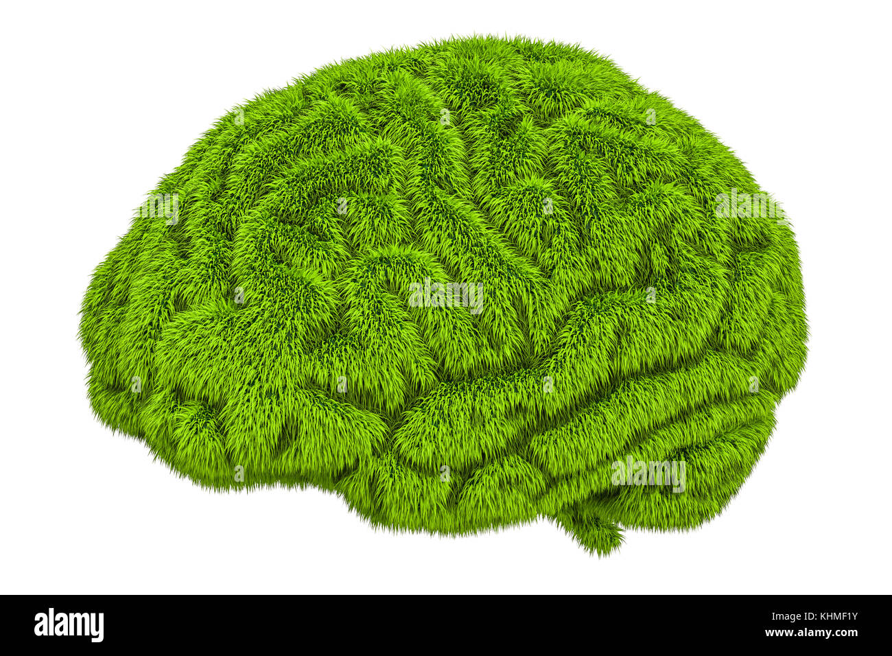 Green grassy brain, 3D rendering isolated on white background Stock ...