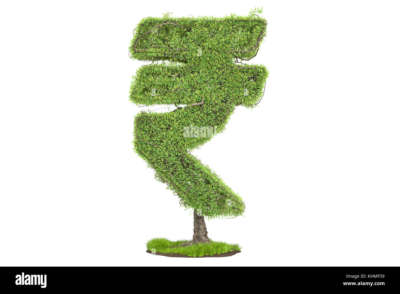 Indian Rupee Tree
