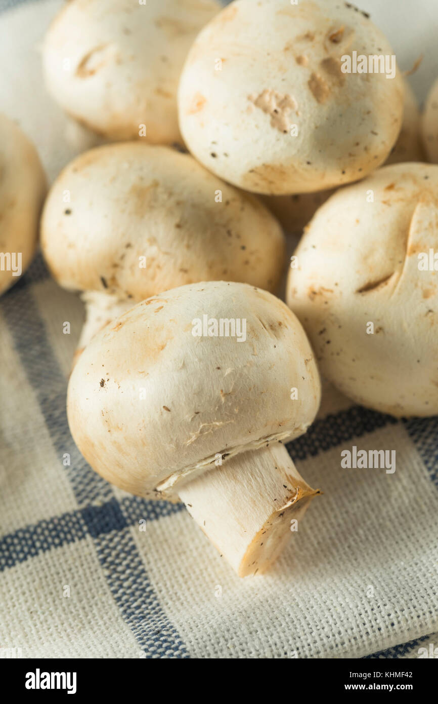 Button mushrooms hi-res stock photography and images - Alamy