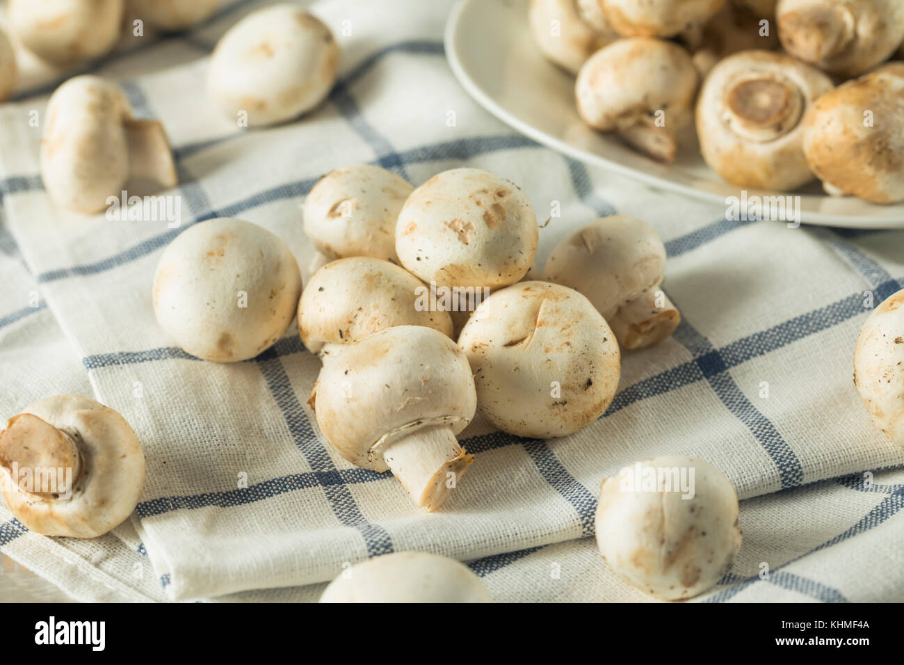 Raw White Organic Baby Button Mushrooms Ready to Cook Stock Photo - Alamy