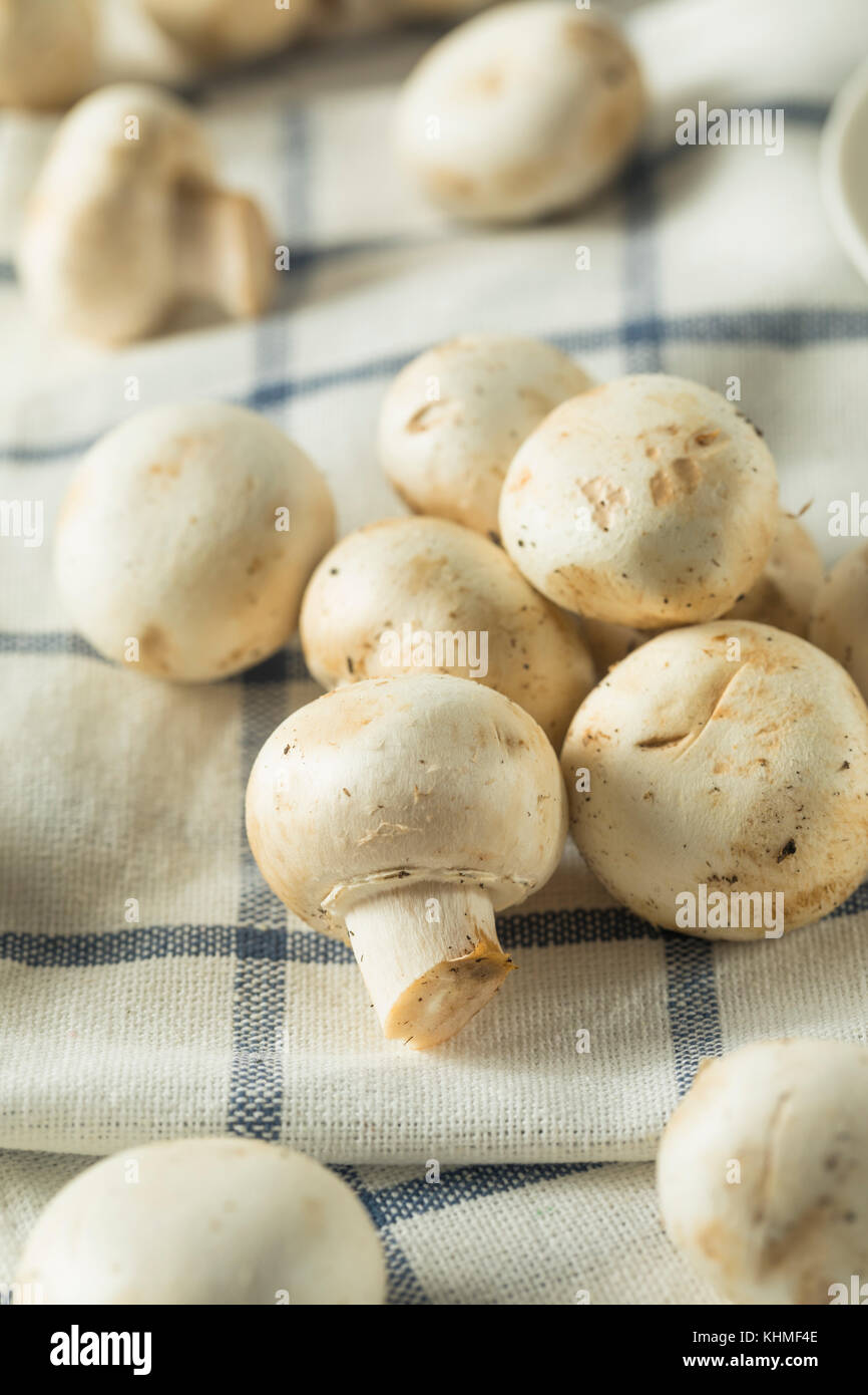 Raw White Organic Baby Button Mushrooms Ready to Cook Stock Photo - Alamy