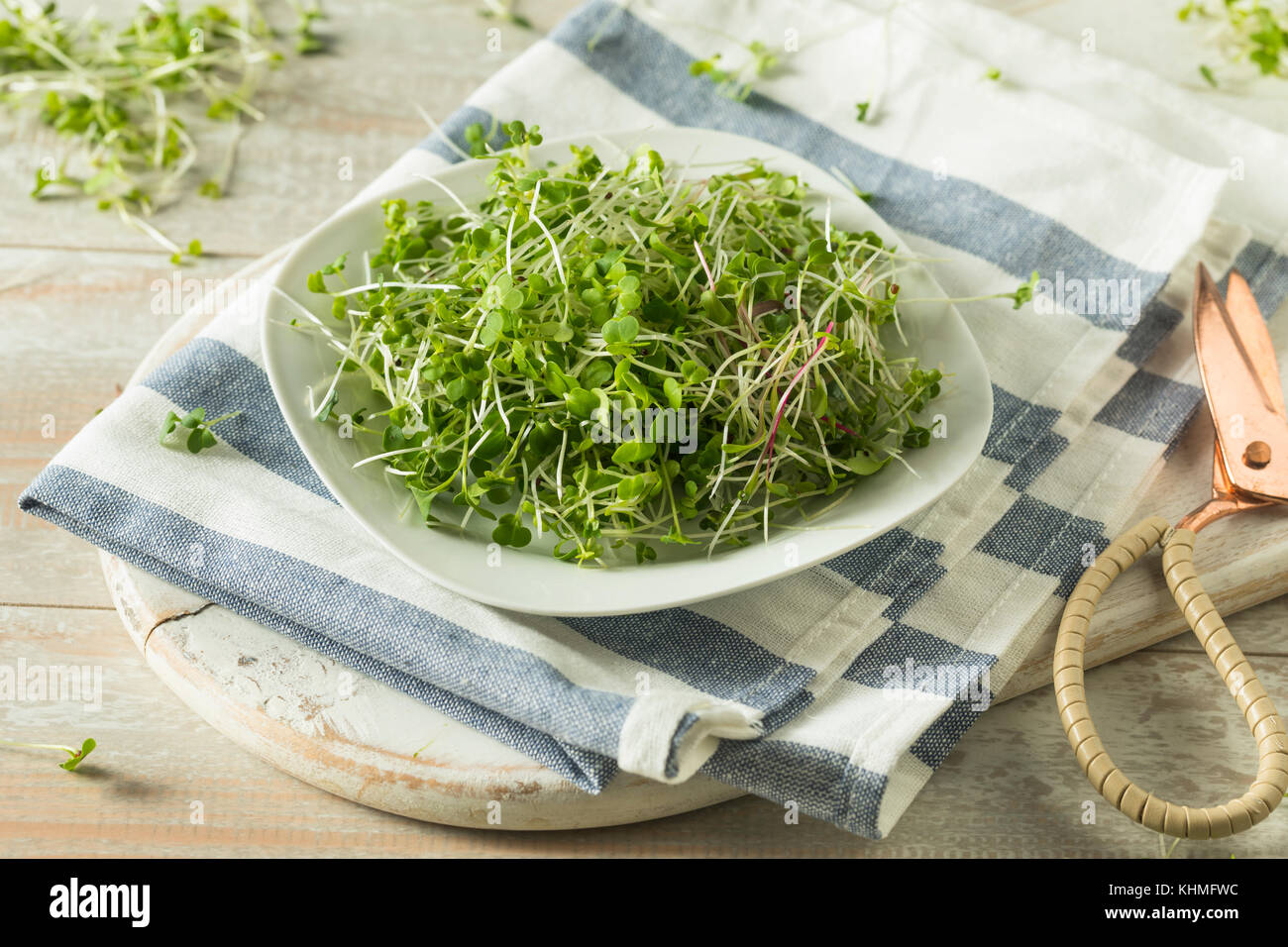 Healthy Raw Organic Microgreens Ready to Use Stock Photo - Alamy