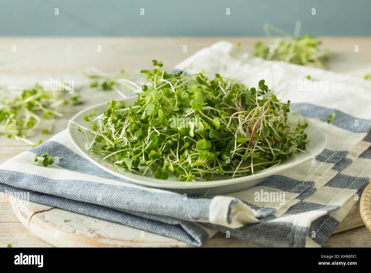 Healthy Raw Organic Microgreens Ready to Use Stock Photo - Alamy