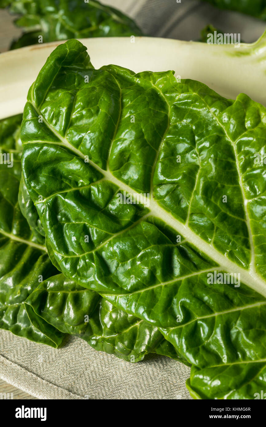 Raw Organic Green Swiss Chard Ready to Cook Stock Photo - Alamy
