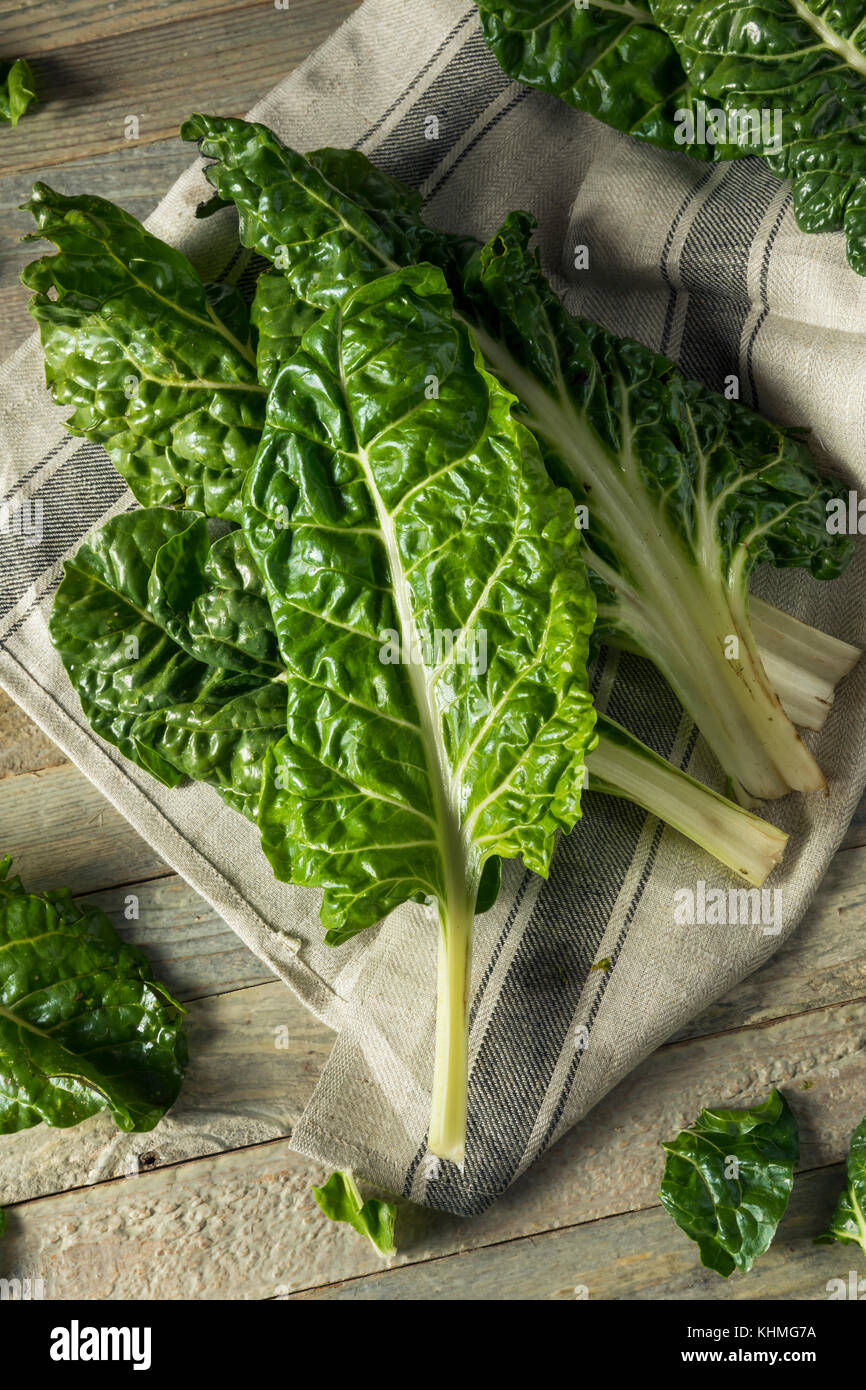 Swiss chard edible leafy hi-res stock photography and images - Alamy