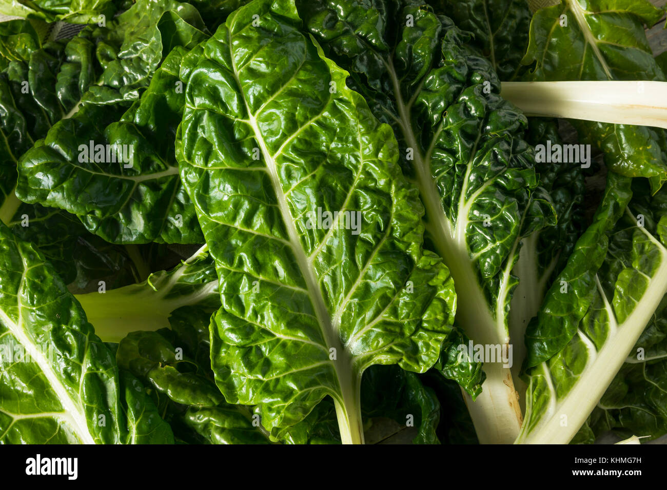 Raw Organic Green Swiss Chard Ready to Cook Stock Photo - Alamy