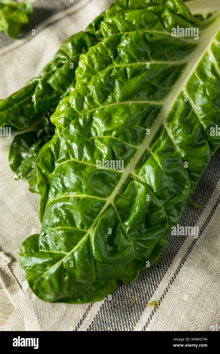 Raw Organic Green Swiss Chard Ready to Cook Stock Photo - Alamy