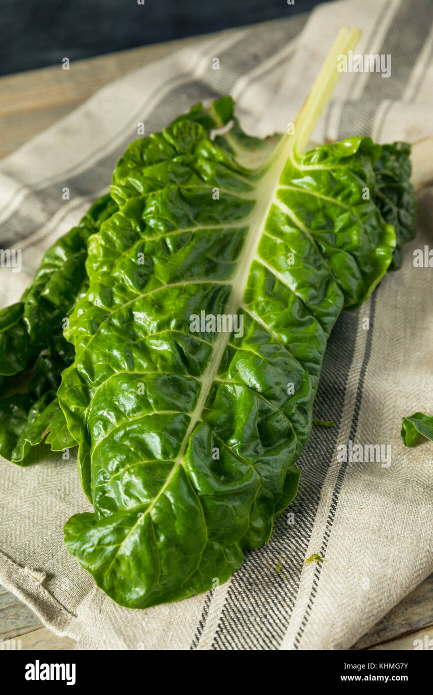 Chard hi-res stock photography and images - Alamy