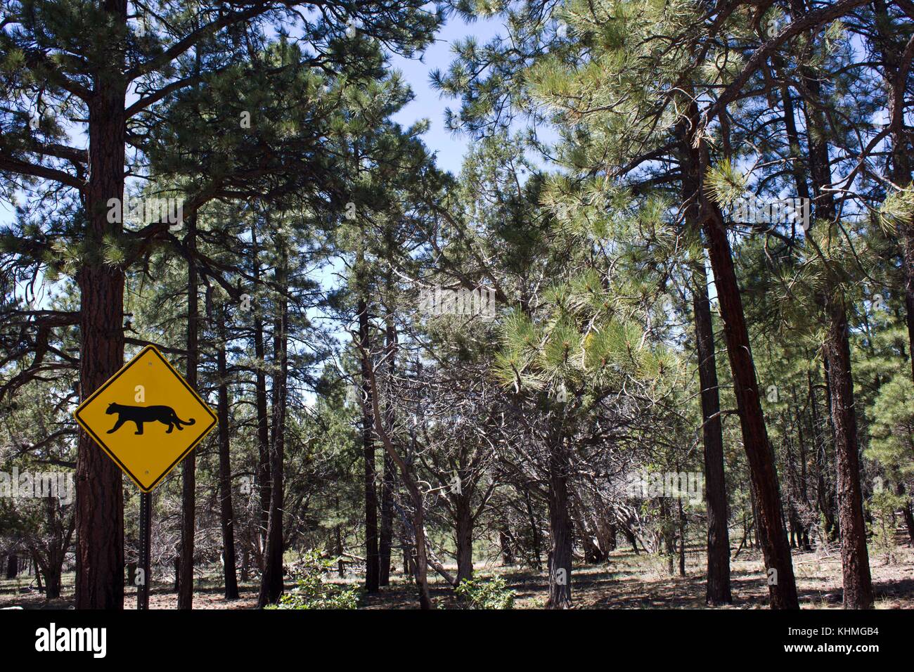 Panther Crossing Sign High Resolution Stock Photography and Images - Alamy