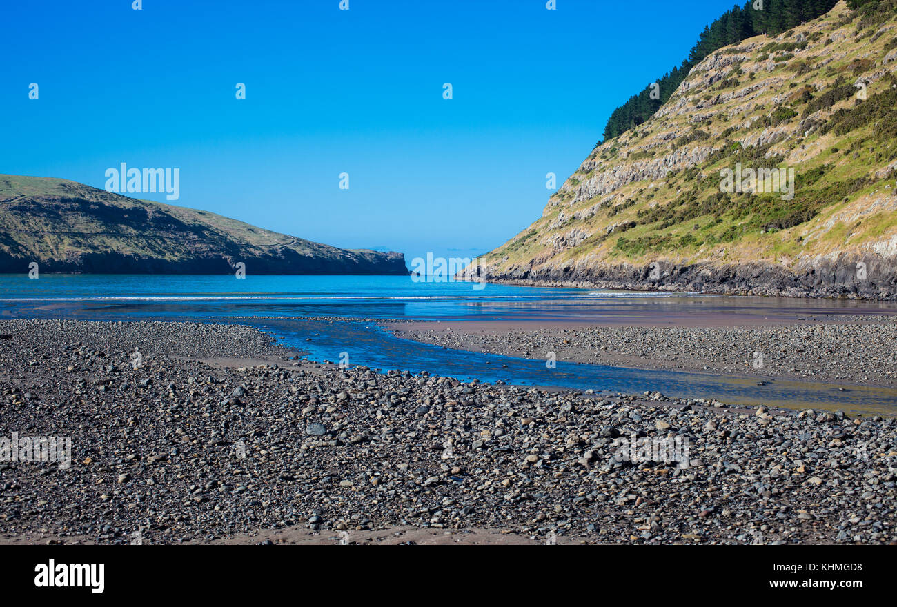 Sights along the beach in a secluded Bay, South Island, New Zealand ...