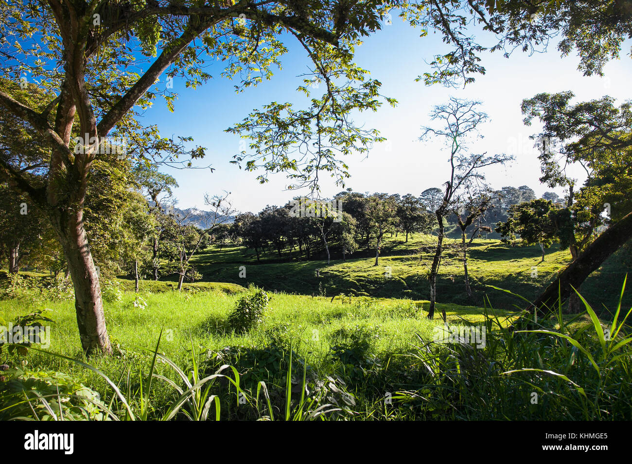 Beautiful nature in Chiapas region, near San Cristobal, Mexico Stock ...