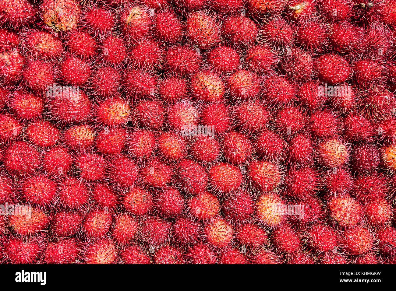 Closeup of freshly produced bunch of ripe and delicious Lychee fruits ...