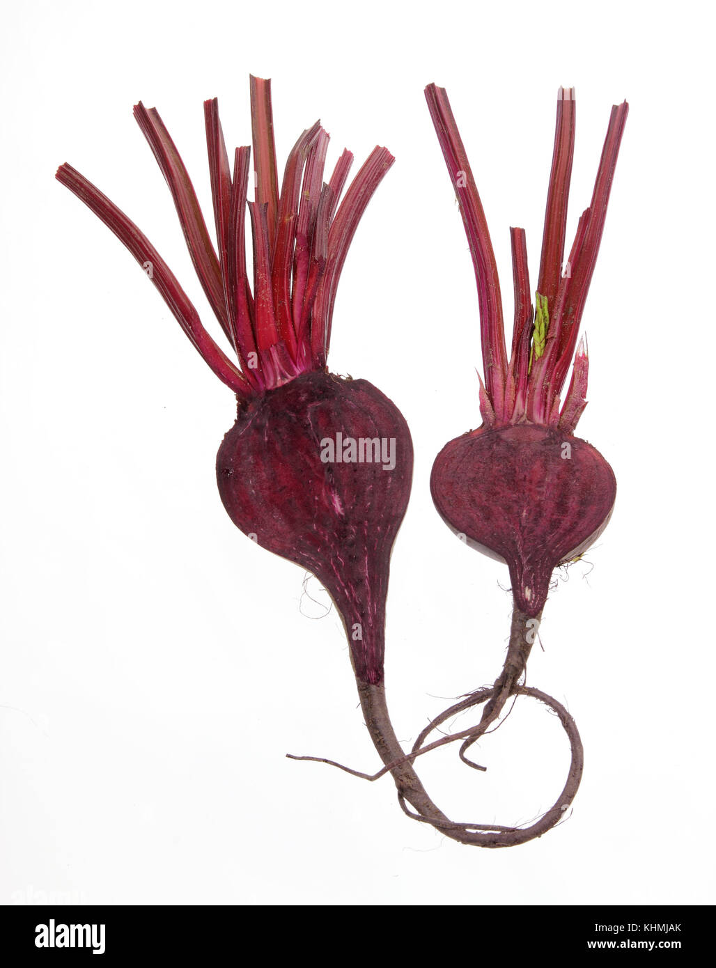 Beetroot cross section hi-res stock photography and images - Alamy