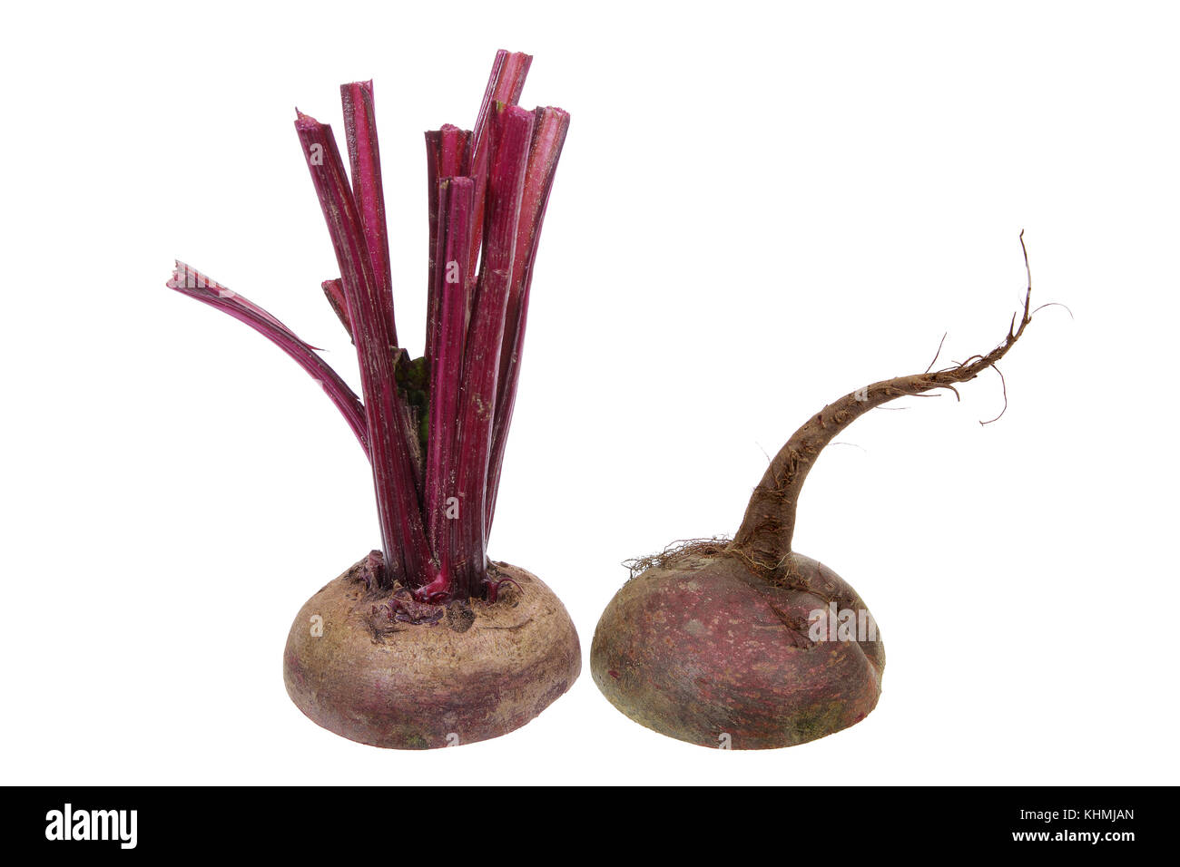 Beetroot on White Background Stock Photo - Alamy