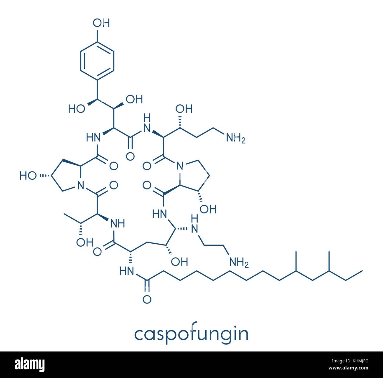 Caspofungin antifungal drug molecule. Skeletal formula Stock Vector ...