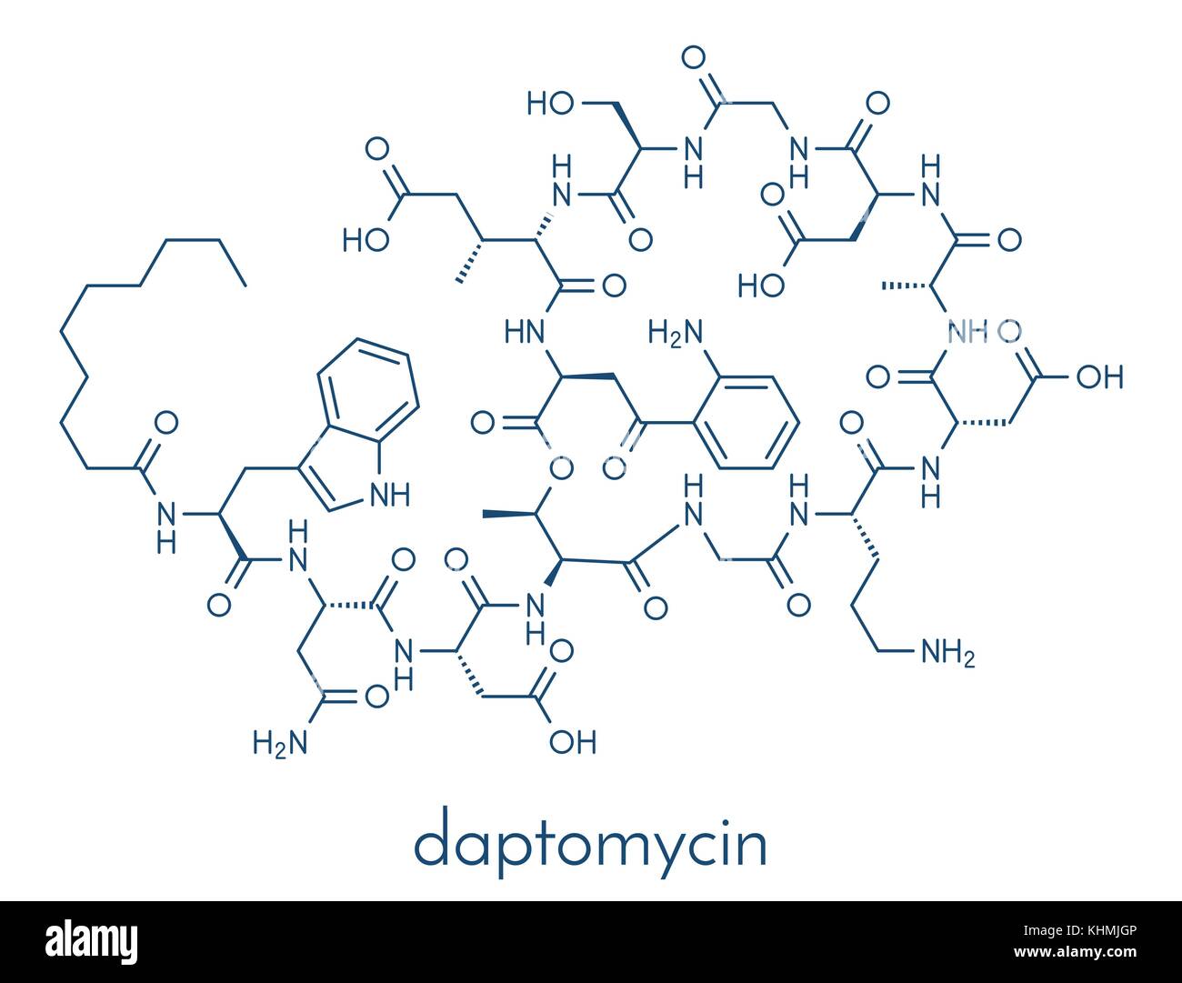 Daptomycin antibiotic drug molecule. Skeletal formula Stock Vector ...