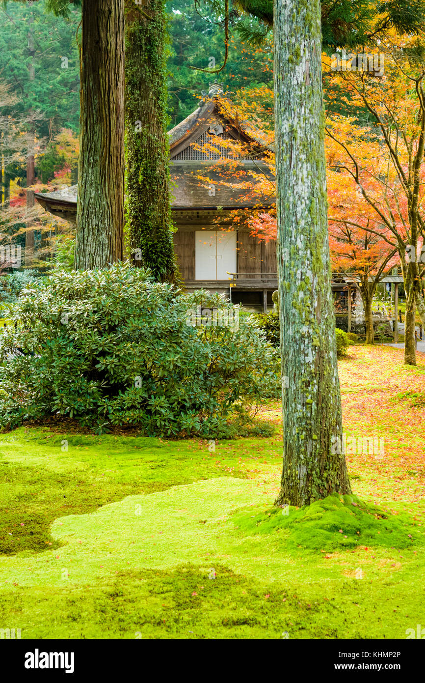 Sanzen-in Temple & Fall Foliage, Kyoto, Japan Stock Photo - Alamy