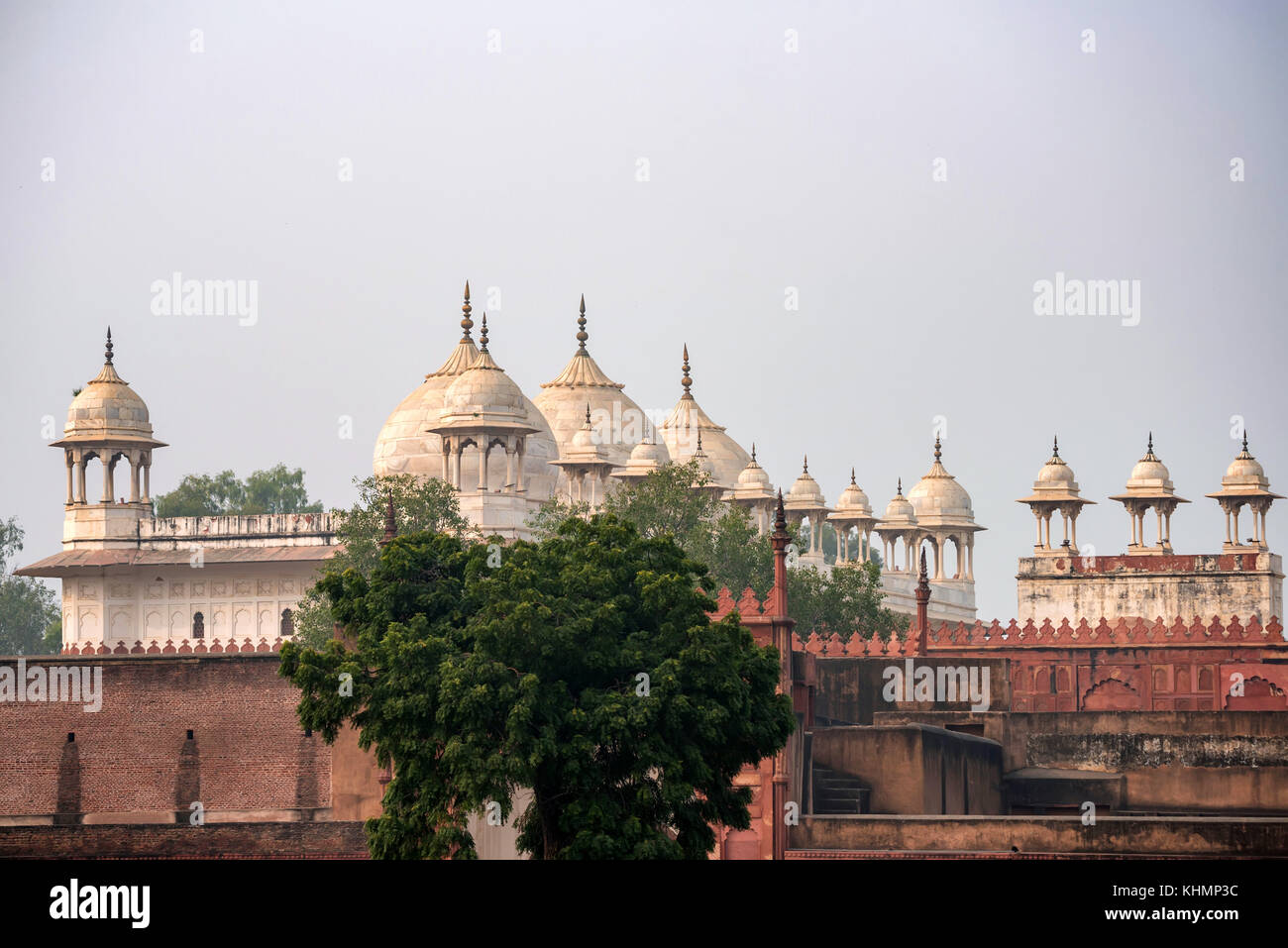 Moti Masjid or Pearl Mosque in Agra Fort, India Stock Photo - Alamy